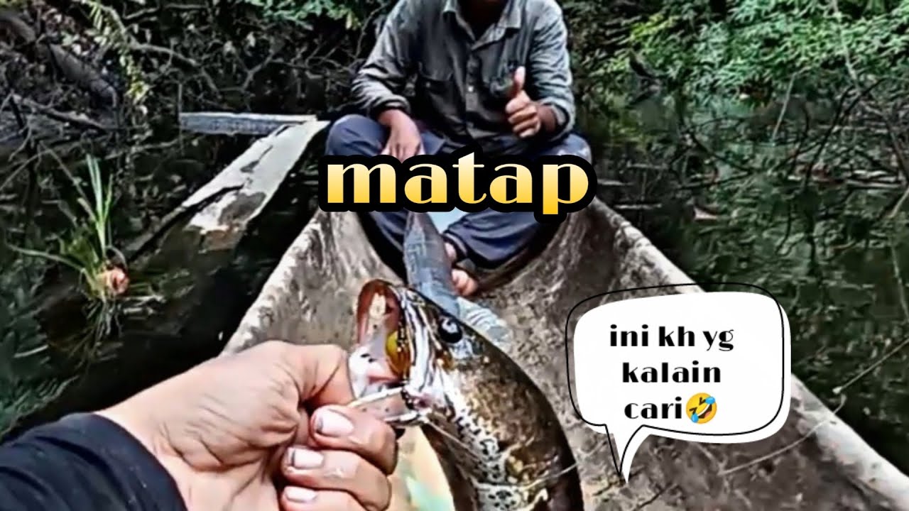 casting gabus/mancing ikan gabus/ vlog mancing - YouTube