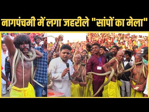 रोसड़ा में अनोखे "सांपो का मेला" देखने पहुंचे लाखों लोग । ROSERA JUNCTION - YouTube