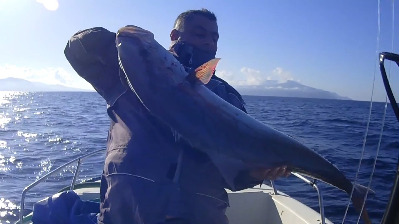 ΤΟ ΜΑΓΙΑΤΙΚΟ...ΑΥΤΟ ΕΙΝΑΙ ΨΑΡΙ (big amberjack) - YouTube