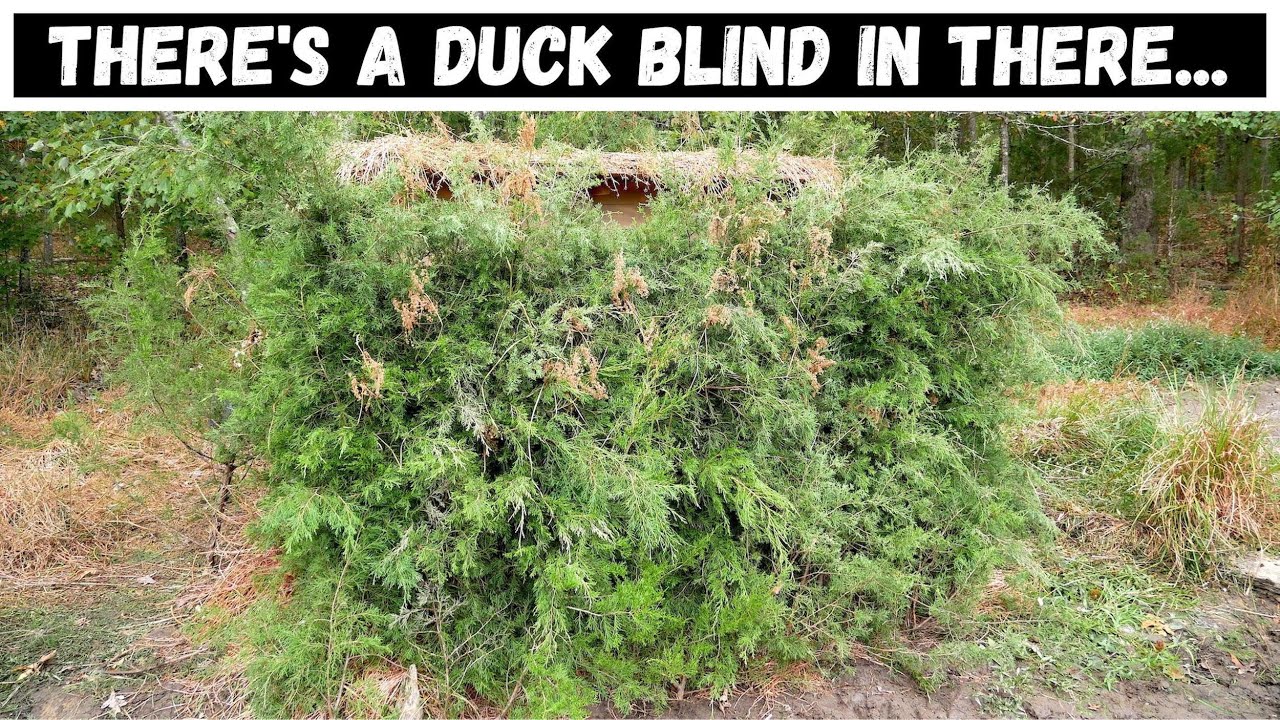 Building A Duck Blind | Part 2 - YouTube
