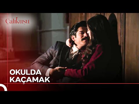 Kimseler Görmeden Öpsem Seni? | Çalıkuşu