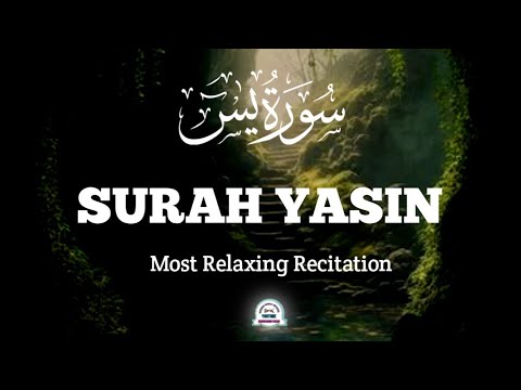 Peaceful Recitation Of SURAH YASIN يس ||Smooth Voice.Qari Muhammad ...