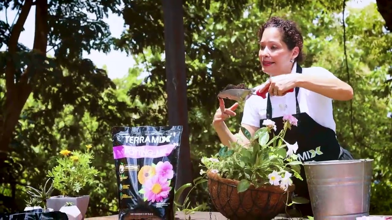 VIDEOS | Terramixpr