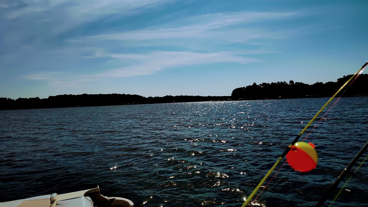 The Bearded Lumber Crew Goes Fishing! - YouTube