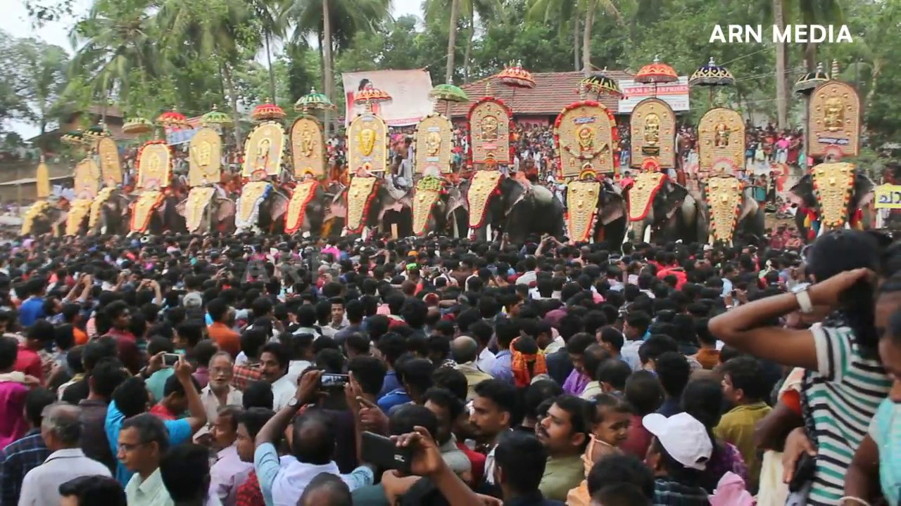 Thootha Pooram 2017 Kerala Elephants തൂത പൂരം - YouTube