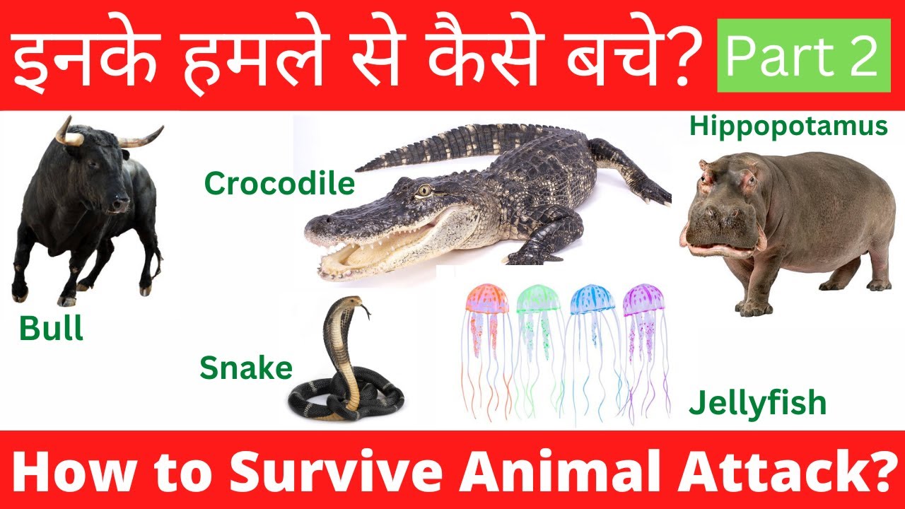 "Surviving Animal Attacks: Essential Tips and Strategies" | Part 2 ...