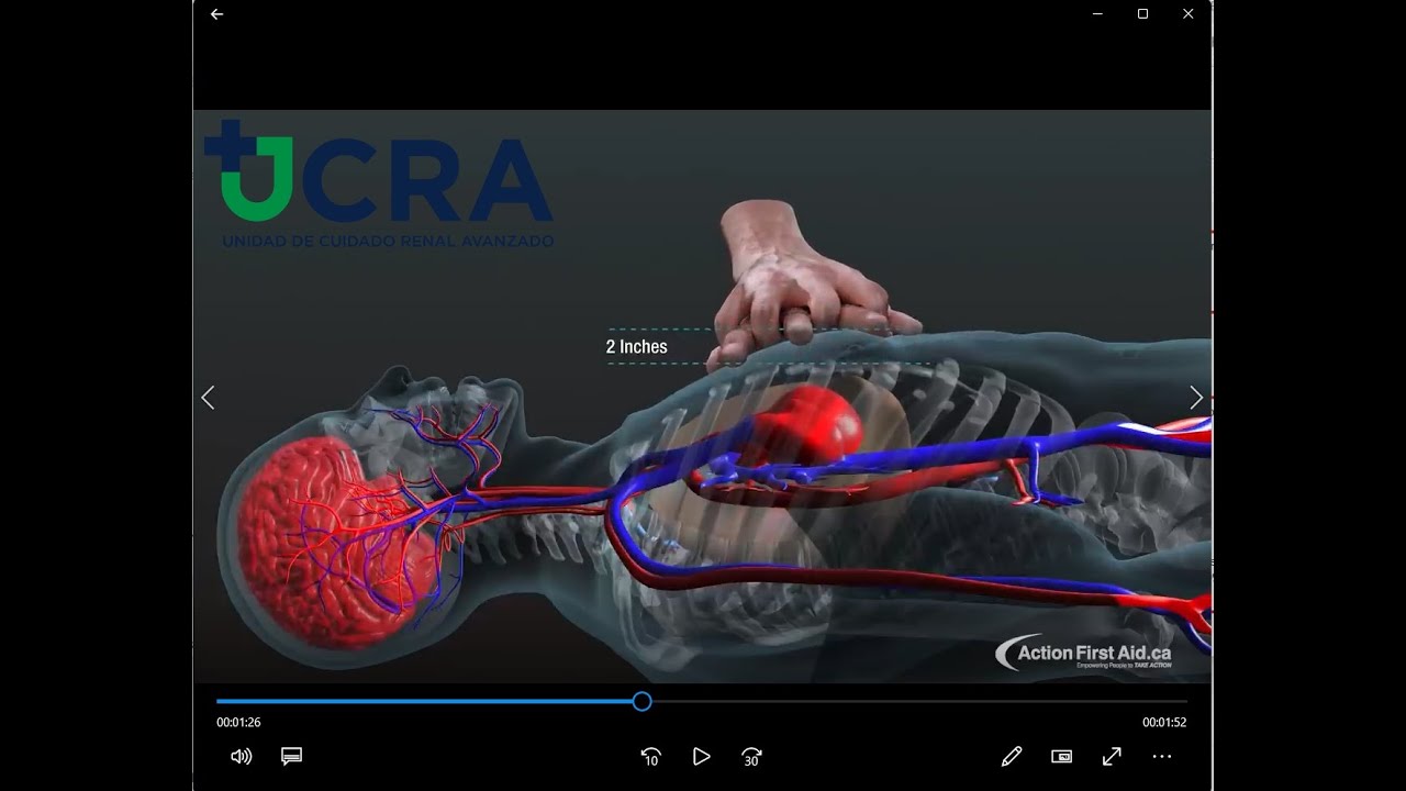 CPR in Action A 3D look inside the body - YouTube