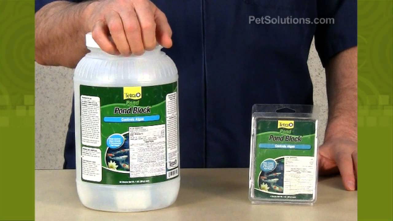 PetSolutions: Tetra Pond Anti-Algae Block - YouTube
