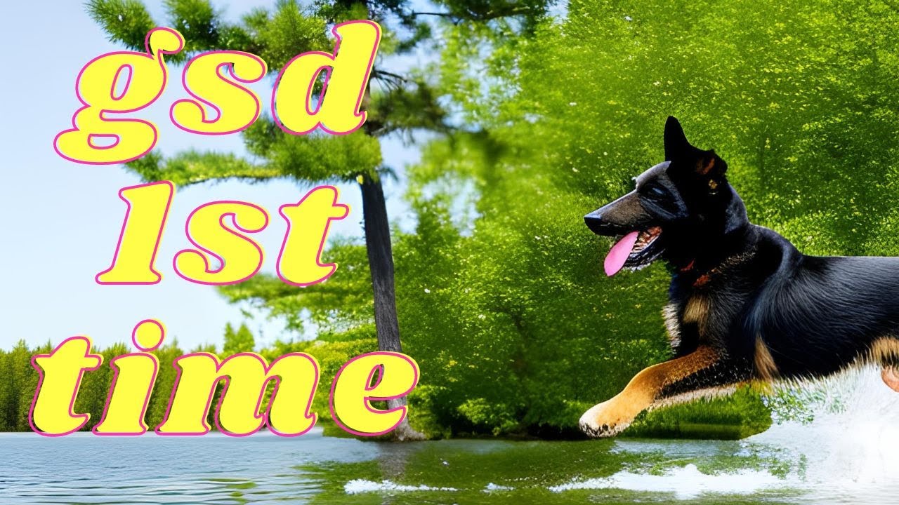 German Shepherd pup GOES Fishing for the First Time! 🎣🐟 - YouTube