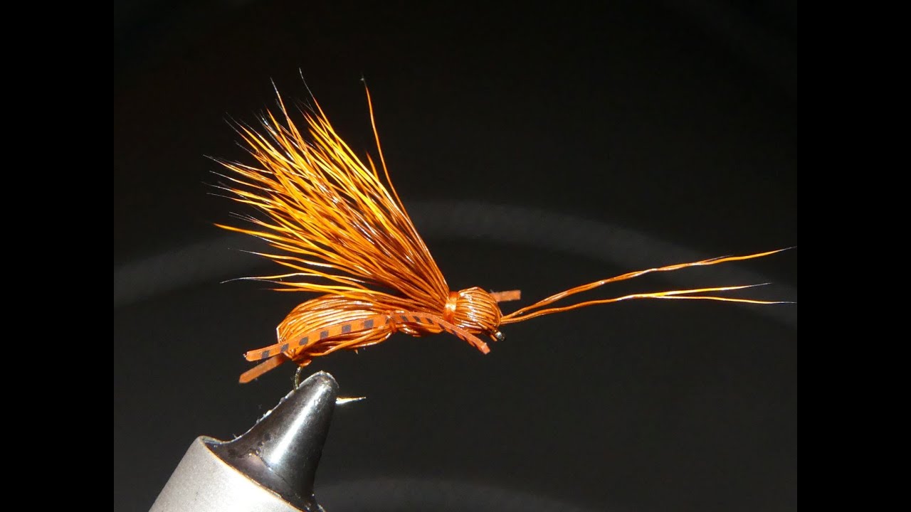 Winged Fire Ant Dry Fly - YouTube
