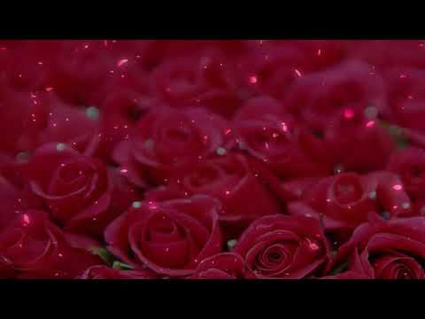 19421343 - YouTube