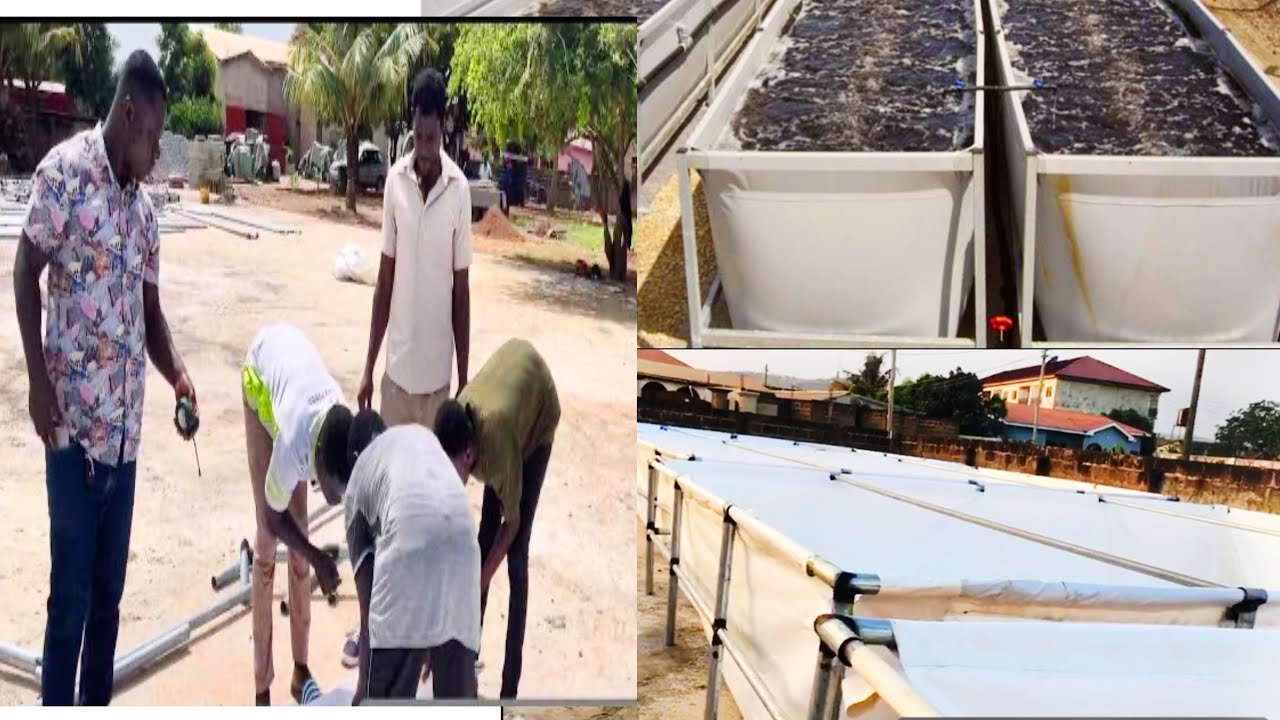 How to construct 20,000 tarpaulin catfish ponds - YouTube