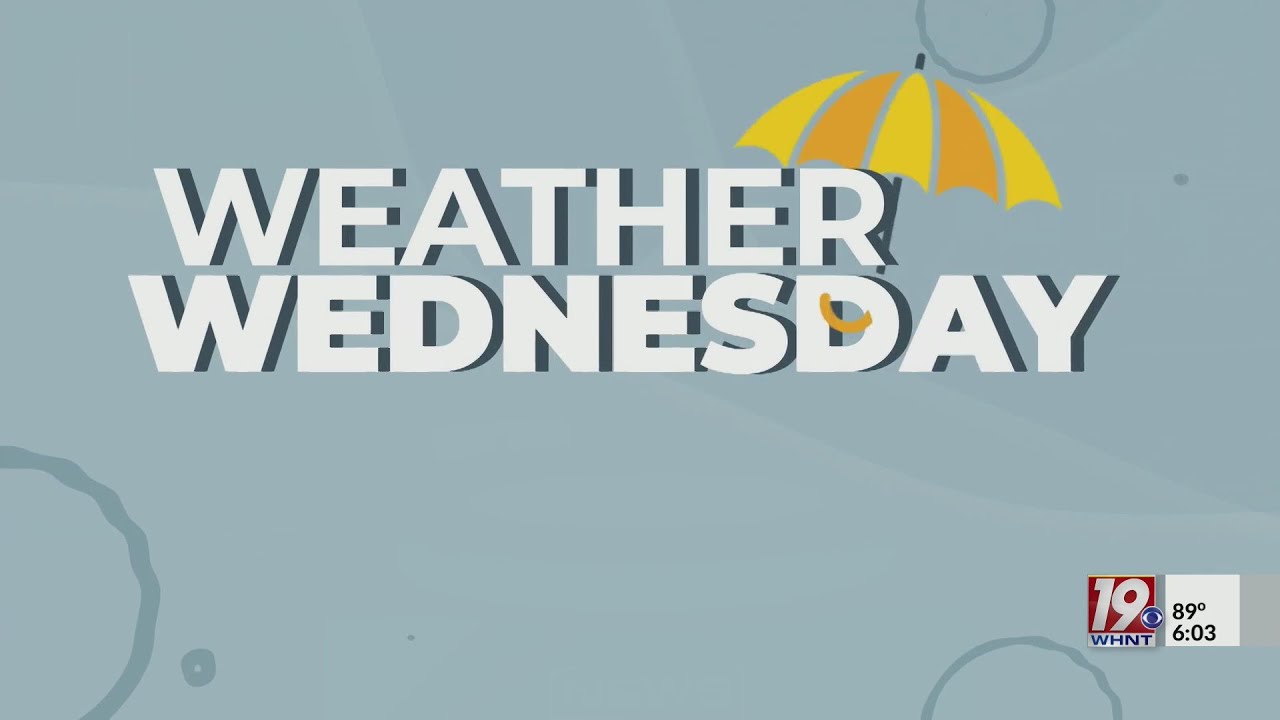 Whnt Channel 19 Weather Radar