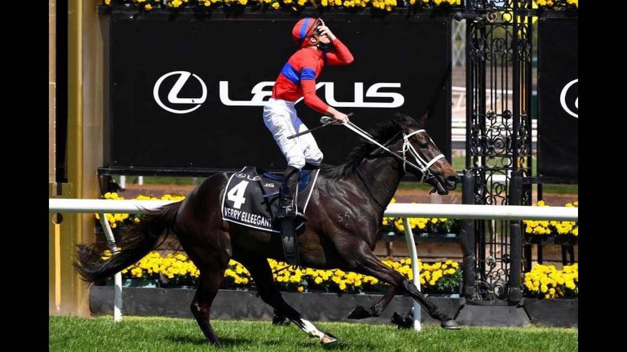 Flemington Racing Preview (G1) Lexus Melbourne Cup Day ! (01/11/22 ...