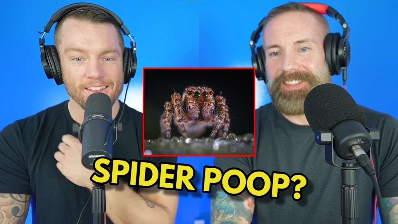 There Was SPIDER POOP On Jiu-Jitsu Mats? | Talk-Jitsu Episode 13 - YouTube