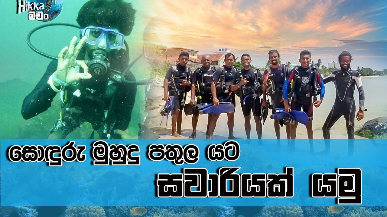 Diving in trincomalee Navy reef - YouTube