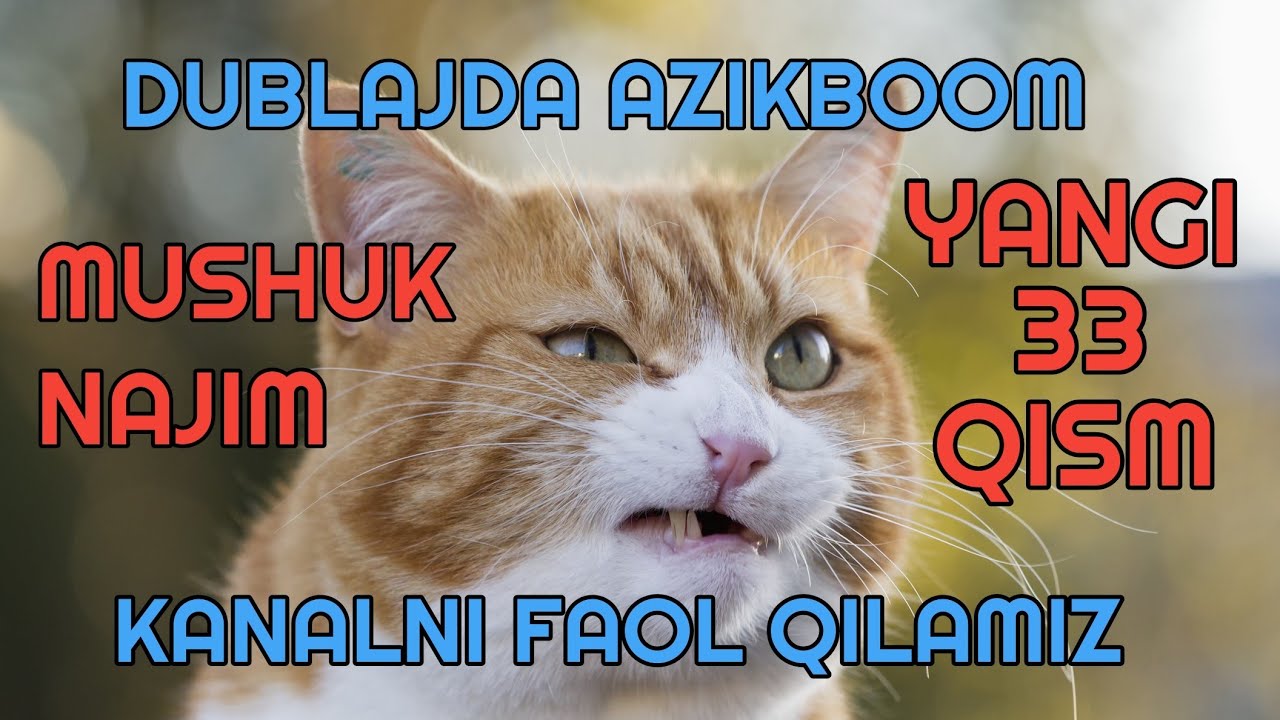 MUSHUK NAJIM 33-QISM DUBLAJDA AZIKBOOM - YouTube