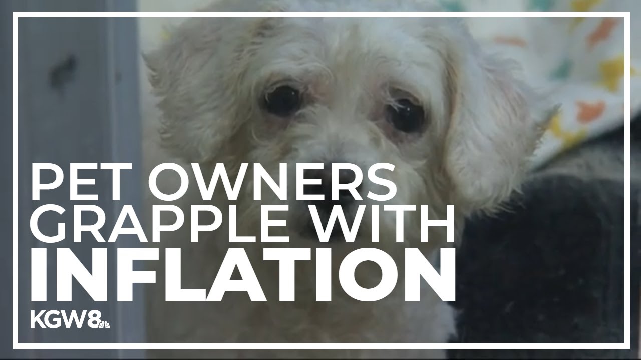 Pet owners feel impact of inflation - YouTube