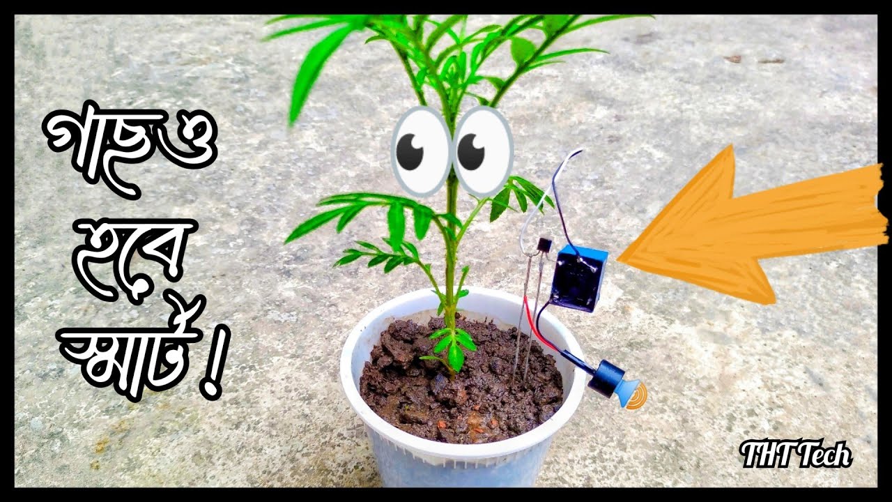এখন গাছও হবে স্মার্ট। How to make moisture sensor for plans. DIY ...