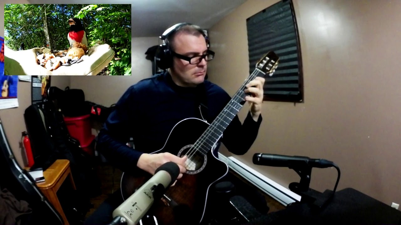 Ewan Dobson - Country Style Etude in C [2019] - YouTube