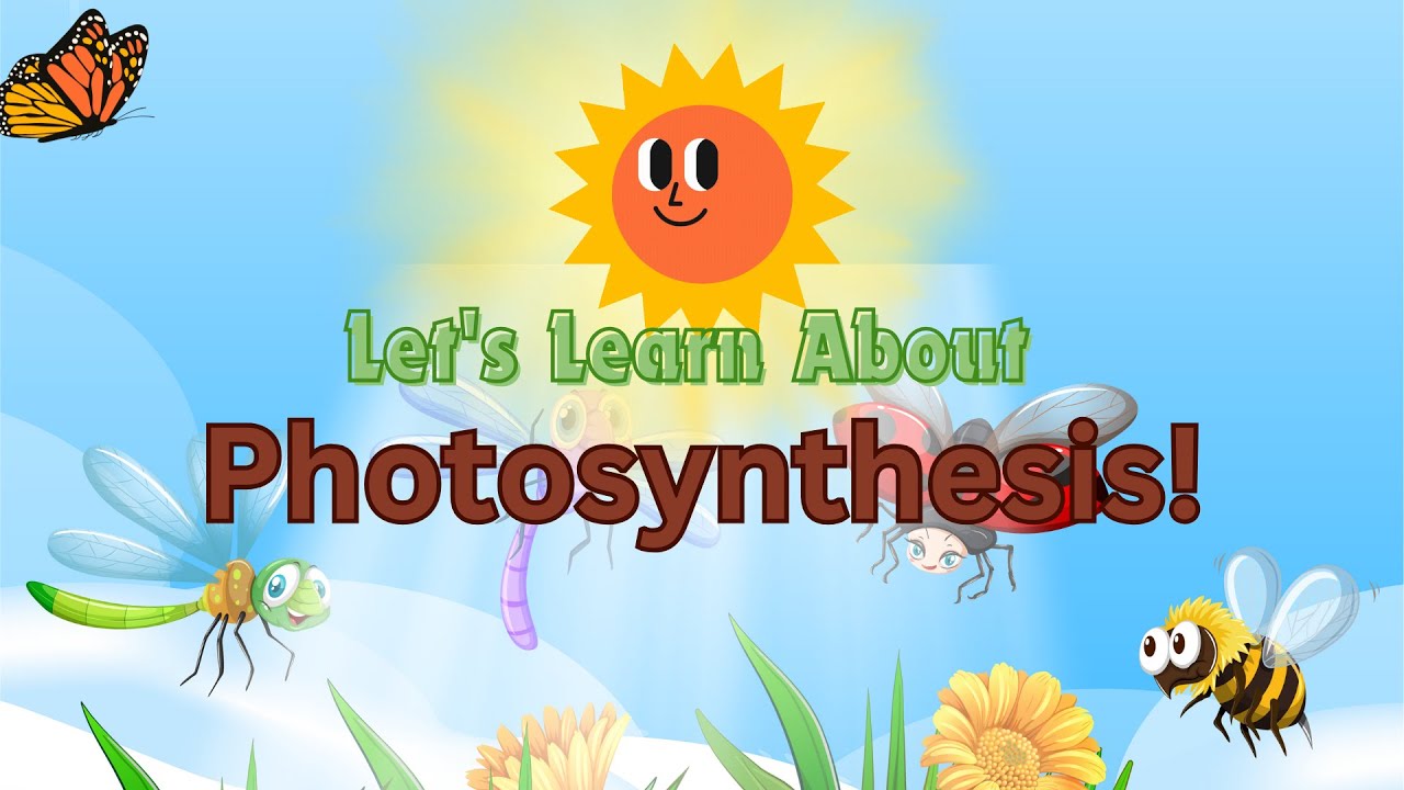 Educational Video | Photosynthesis - YouTube