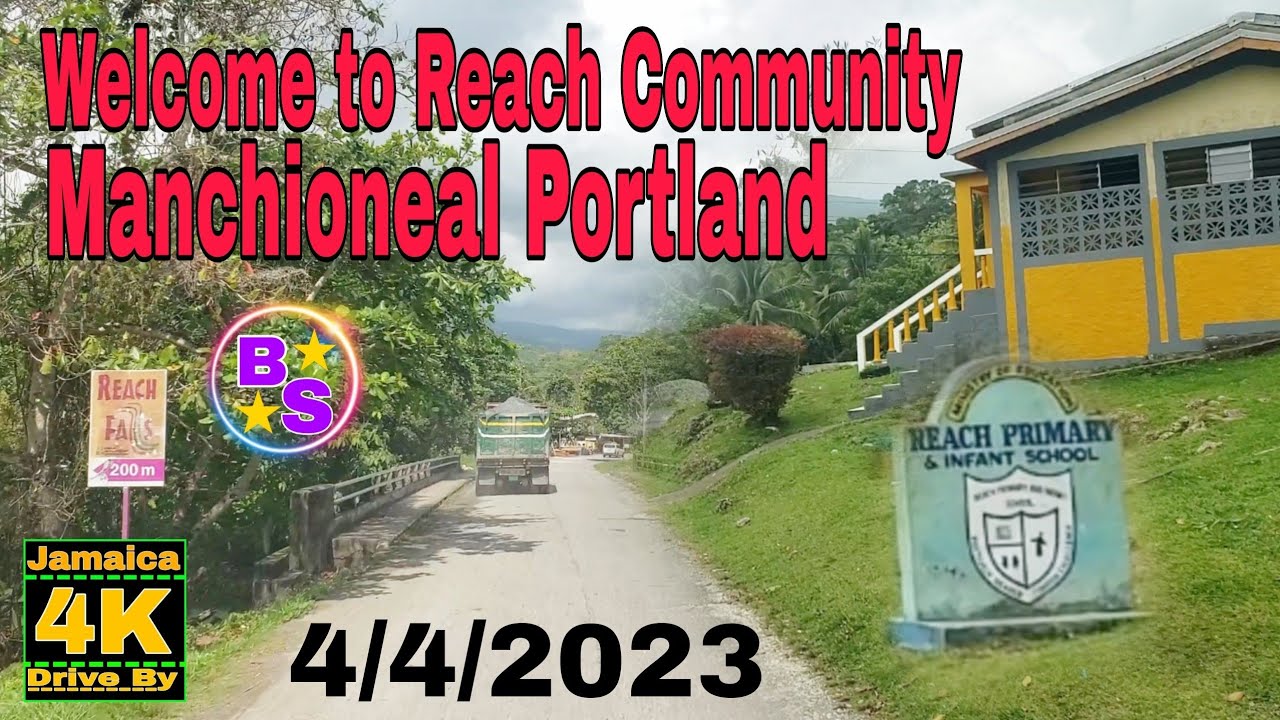 Hectors River - Reach Falls Community / Portland Jamaica 🇯🇲 🙌 😎 - YouTube
