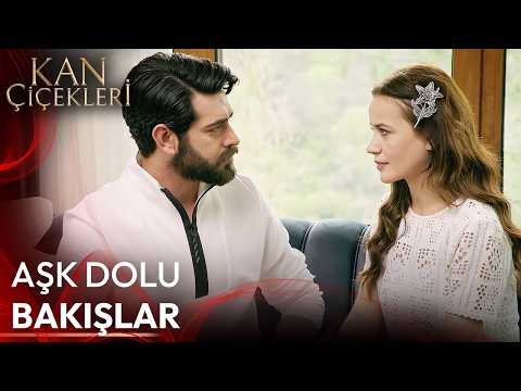 Bu Sevda Nasıl Başladı? #45 - Kan Çiçekleri