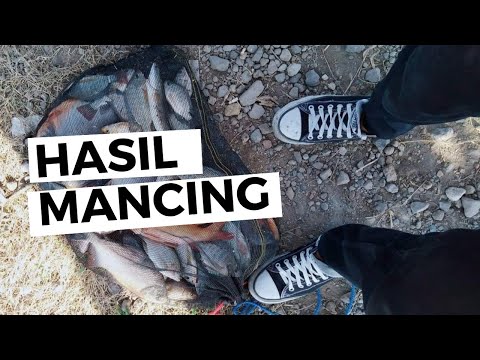Hasil Mancing ikan di tambak