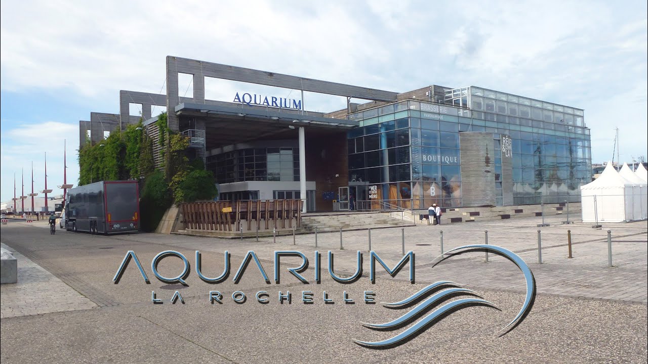 Aquarium de La Rochelle - YouTube