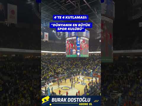 💛💙 Fenerbahçe Gururu! Bir Günde 4 Branşta 4 Galibiyet!  #fenerbahçe  #galatasaray #beşiktaş