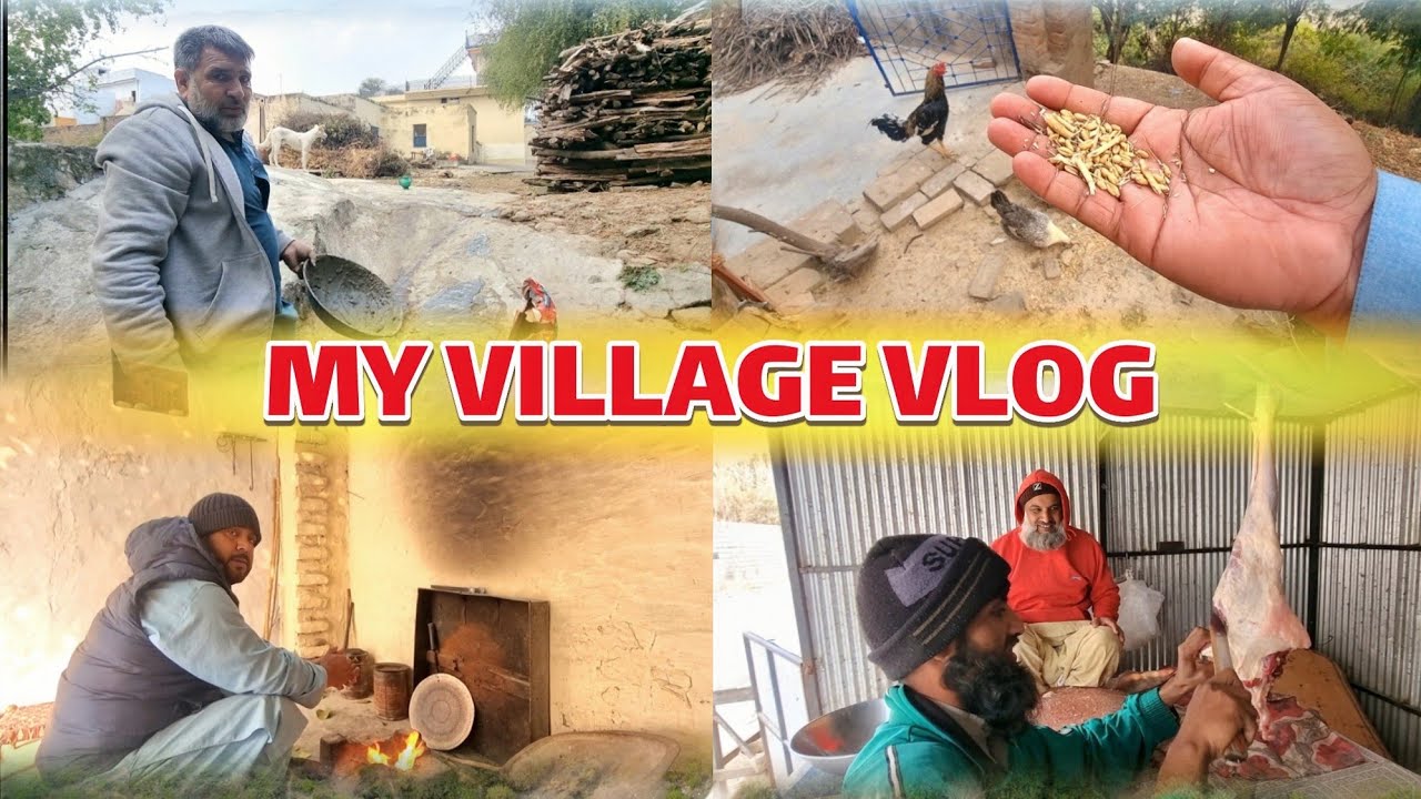 My Village Hometown Vlog | Daily Routine | Potha Sher Dadyal Azad ...