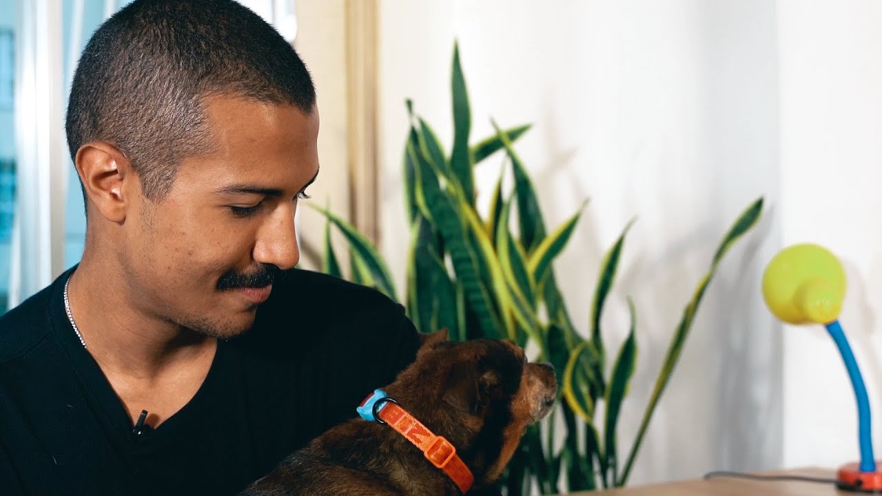 Alimentação Natural Zee.Dog Kitchen para cachorros idosos - YouTube