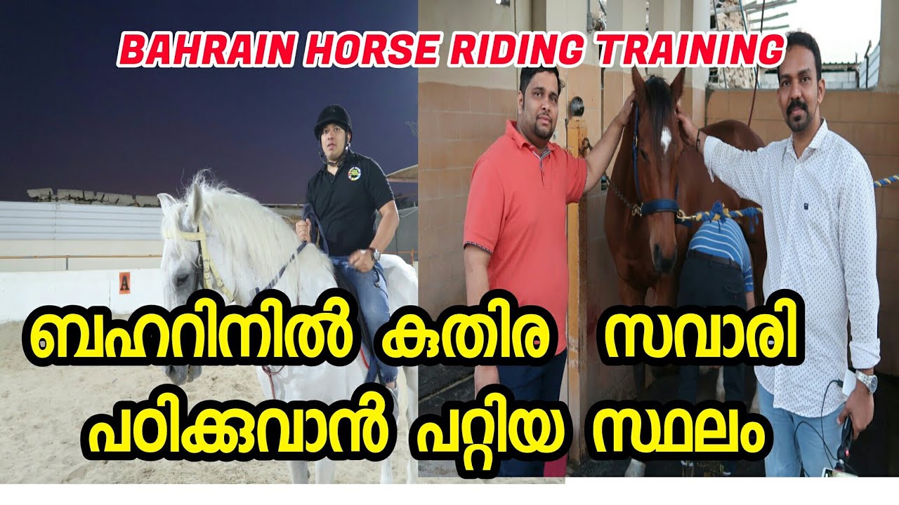 Bahrain horse riding training vlog Part 1 - YouTube