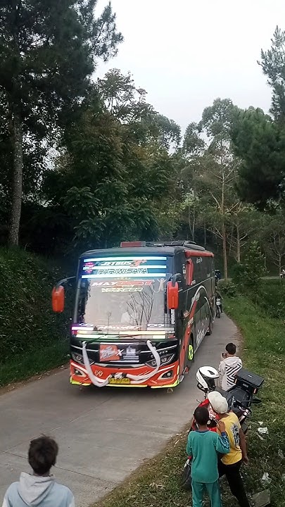 DERETAN BUS ARTIS DI TRIP WAYAnG WINDU!!!!!! #shortvidio #busmaniaofficial #aljabar #wayangwindu ...