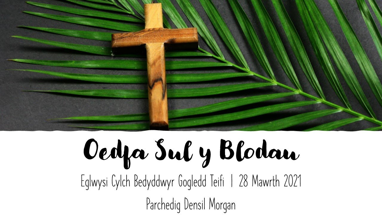 Oedfa Sul Y Blodau 2021 Youtube