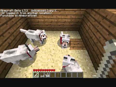 Jak oswoić psa/wilka w minecraft oraz jak zrobic dla niego smycz - YouTube