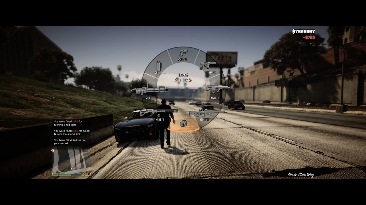 Grand Theft Auto V - Pull Me Over Mod - YouTube