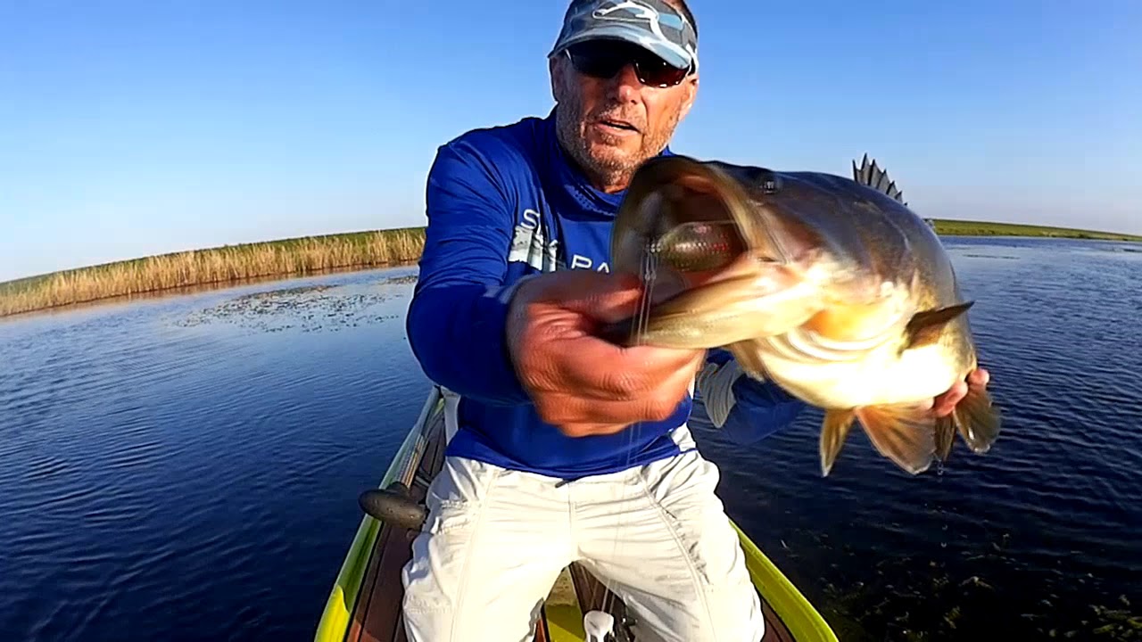 Fishing The DOA Topwater Lure, PT-7 - YouTube