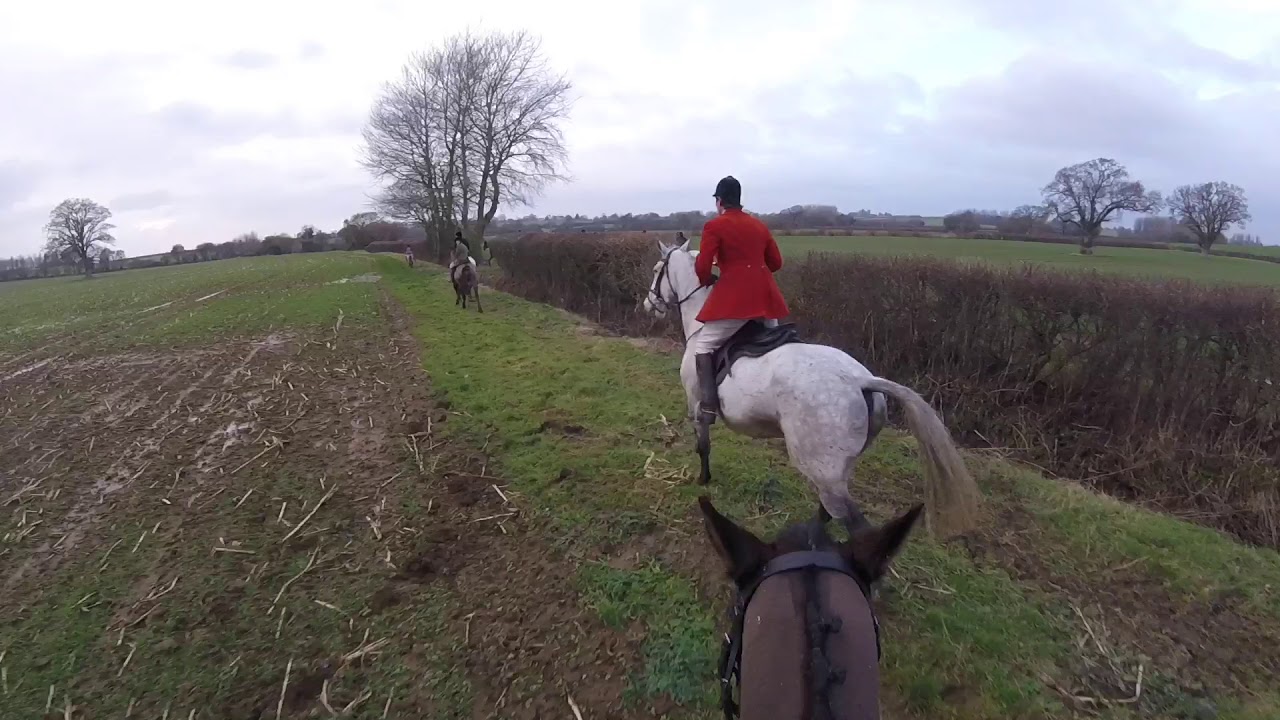 Portman Hunt 6/1/18 - YouTube