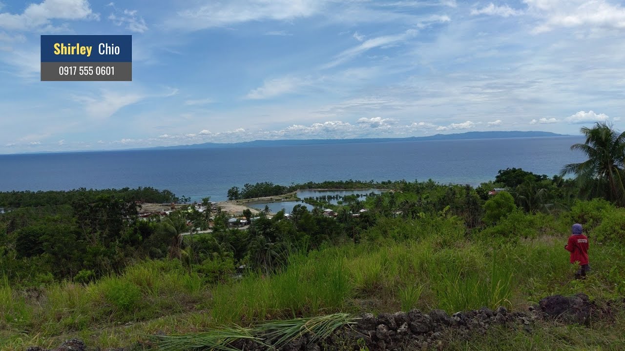 Lot for Sale in Taloot Argao Made of Rock Overlooking the Sea and the ...