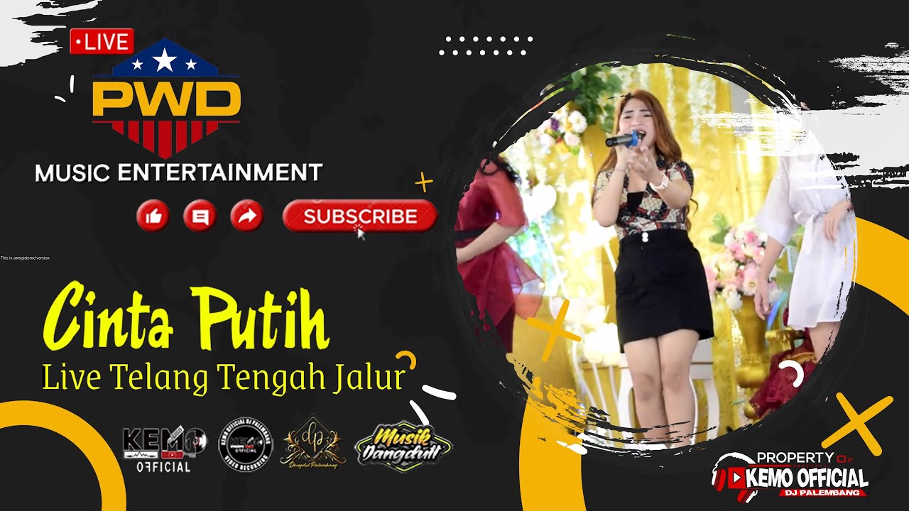 🔴 PWD Music Entertainment Cinta Putih Live Telang Tengah Jalur - YouTube