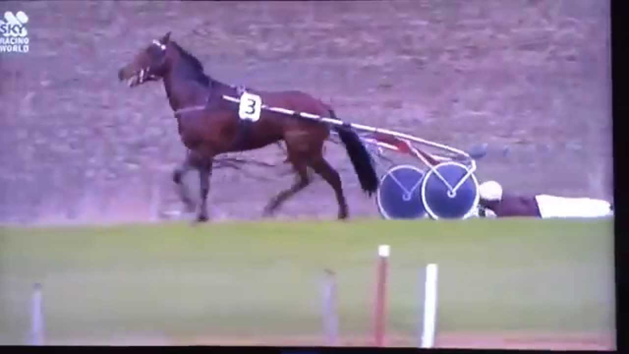Just goin for a drag! Runaway horse causes mayhem! - YouTube