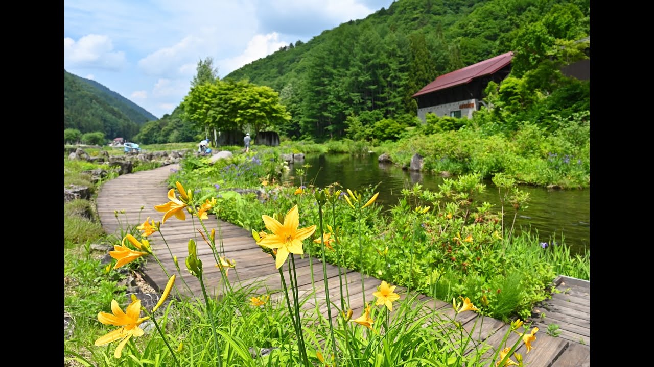 前面展望_桧枝岐～布沢～会津川口（福島県）『国道352・401・289 県道153・352』_2024年6月中旬【BMW R1250RT ...