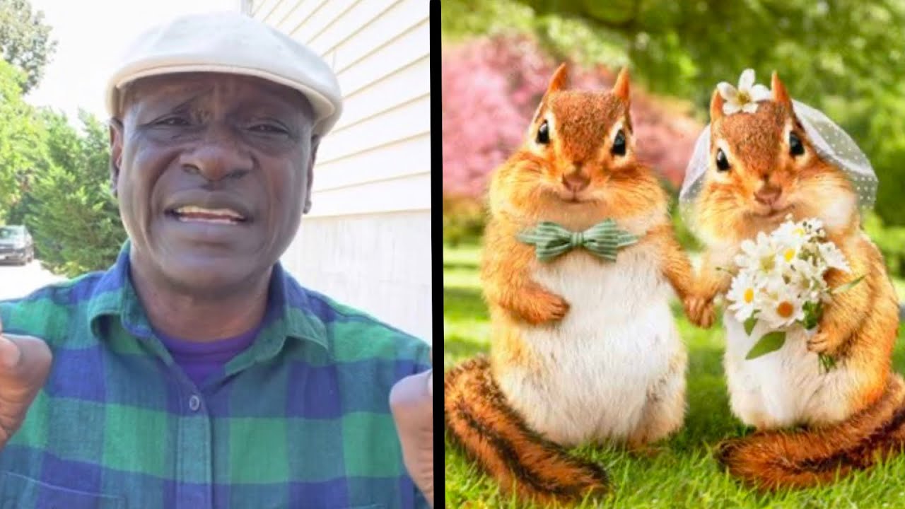 WHAT CAN CONIES TEACH US ABOUT MARRIAGE? - YouTube