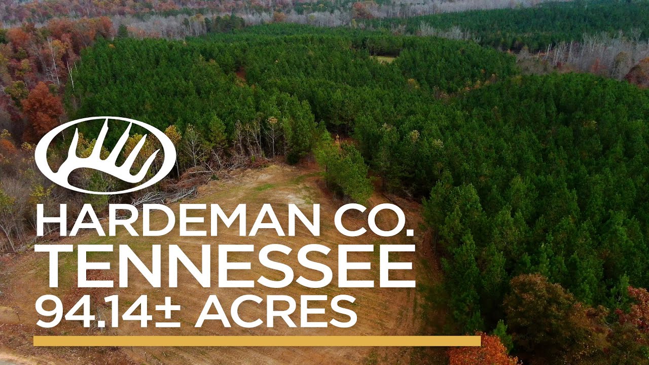 Hardeman County, TN 94.14± acres - YouTube