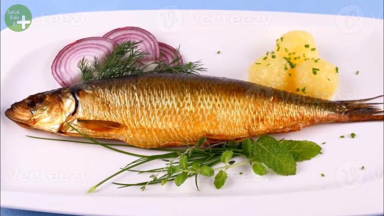 El Arenque, deberías probarlo Mira por qué - YouTube