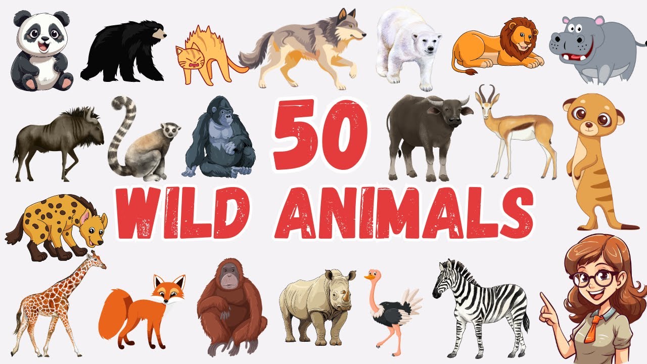 50 wild animals | Learn wild animals names in English | Learning Videos ...