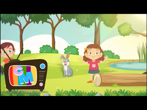 Catalina R – Iepurasul Tup – Cantece pentru copii in limba romana