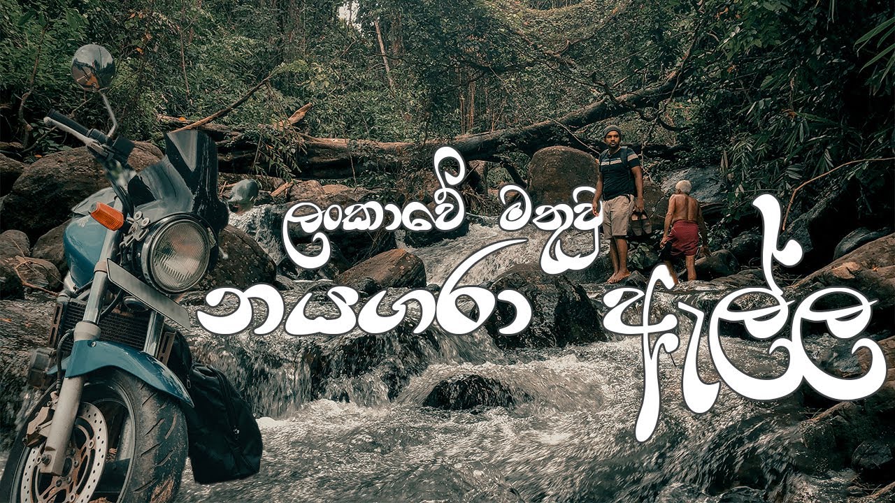 sri lanka travel-this's Amithirigala waterfall| srilanka travel vlog|Beautiful waterfall in ...