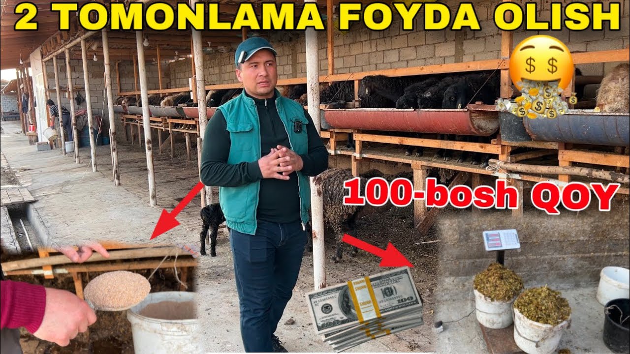 100-BOSH QO’YDAN 2-TOMONLAMA DAROMAT QOY BOQISH SIRLARI-2025😱😱 - YouTube
